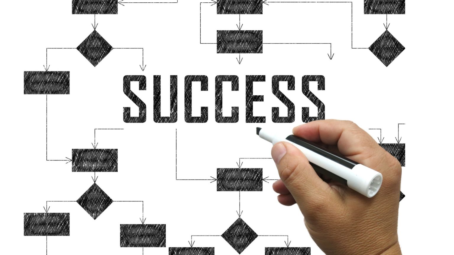 Understanding Energy Flow Diagram: A Comprehensive Guide - OffiDocs