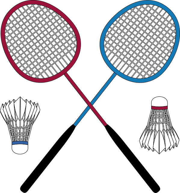 그래픽 배드민턴 라켓무료 벡터 그래픽에