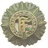 (1943) Insignia and Uniforms of the Irish Army in