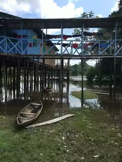 Amazonia Amazon House by OffiDocs for office