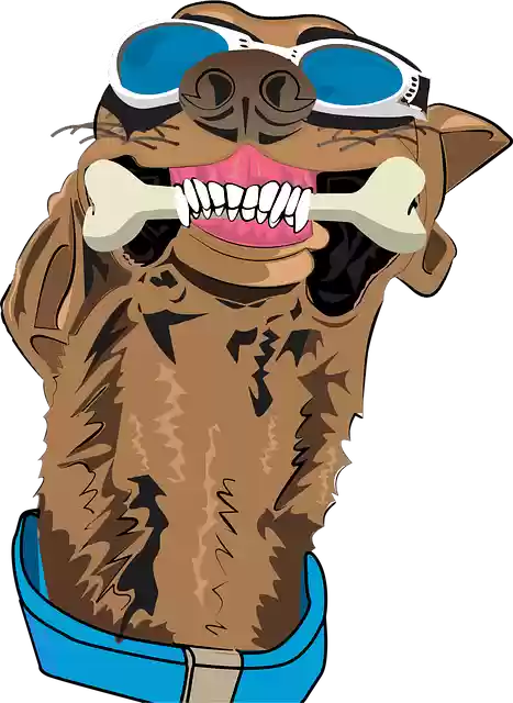 Animal DogsFree vector graphic on Pixabay by