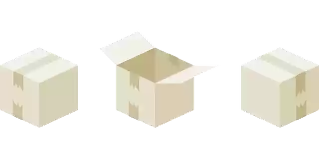 Box CardboardFree vector graphic on Pixabay by