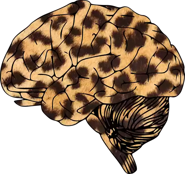 Brain Leopard AnimalPrintFree vector graphic on