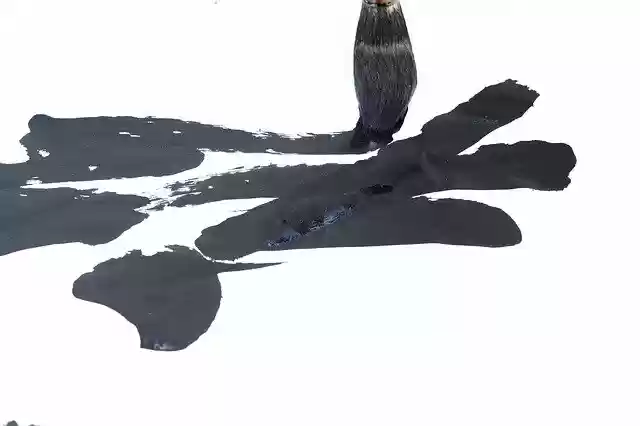 Calligraphy Calligraphic Artist - GIMP online editor free