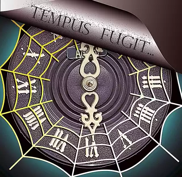 Clock Time Elapsed by OffiDocs for office