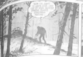 Comic carries - Age Of Ultron, Cursitor Doom,