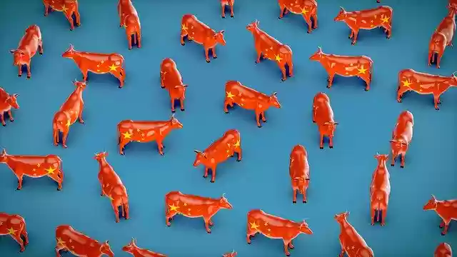 Cow Agriculture Livestock by OffiDocs for office