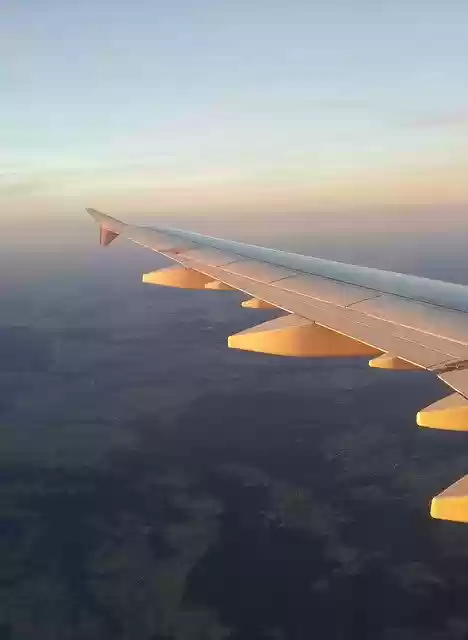 Flying Aircraft Wing by OffiDocs for office