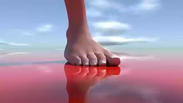 Foot Reflection Landscape by OffiDocs for office