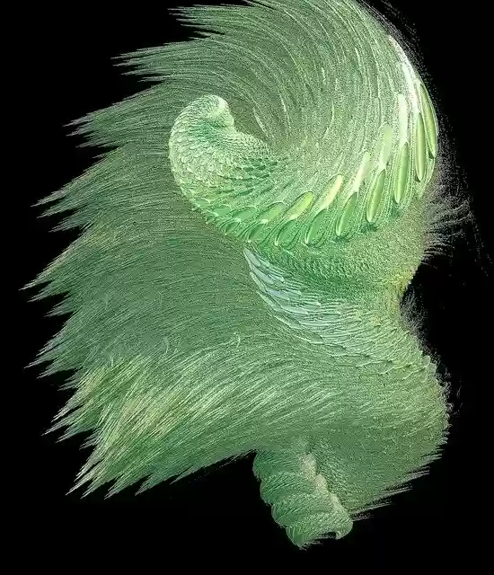 Alien Fractal Art Iridescent Plane | Cool Trippy Fractal Alien Art