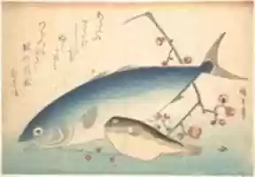 Fugu and Inada Fish, from the series Uozukushi