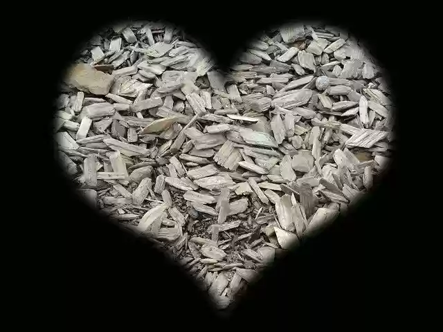 Heart Form Love by OffiDocs for office