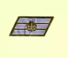 Israel Defence Force Samal Rank Insignia by