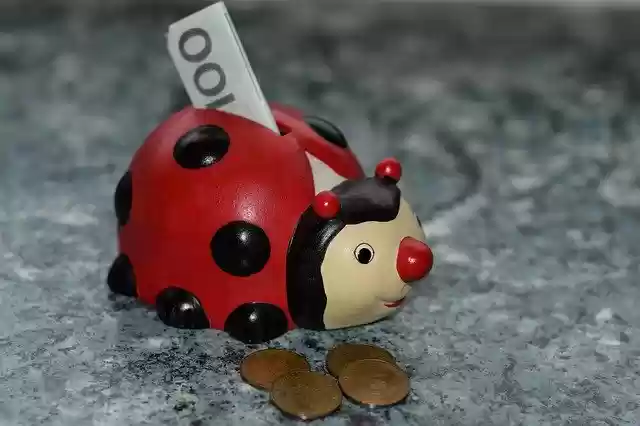 Ladybug Piggy Bank Money by OffiDocs for office