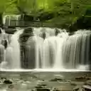 Nature New Tab Wallpapersin Chrome with by