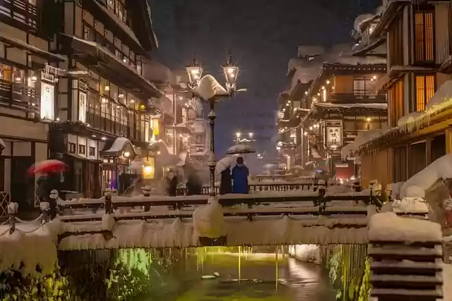 onsen hotspring snow japan travel by OffiDocs for