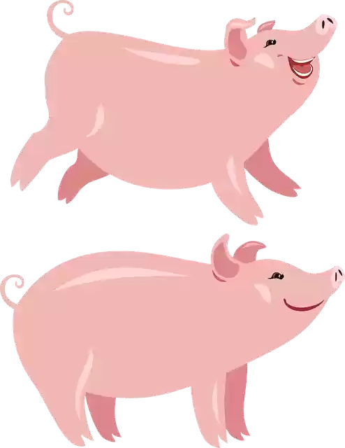 Pigs Pig The Year OfFree vector graphic on