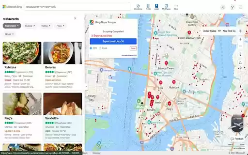 Bing Maps Leads Scraper MapLeadScraper in Chrome