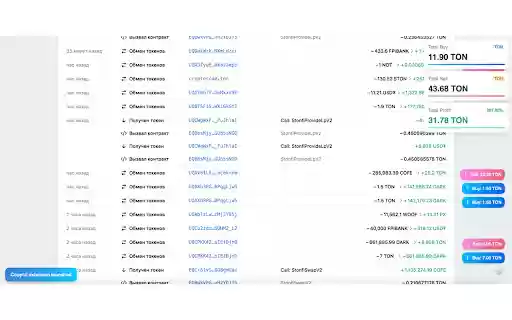 Copytal TonViewer Parserin Chrome with by