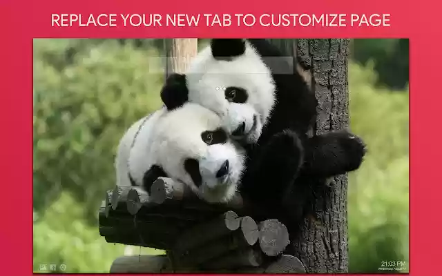 Cute Pandas Wallpaper HD Custom New Tab in