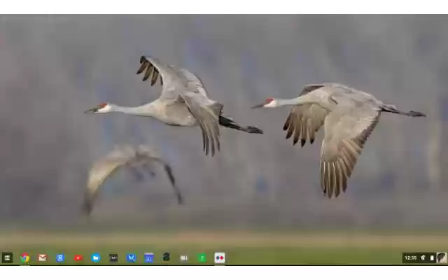 Flickr Wallpapers for Chromebook™ in Chrome