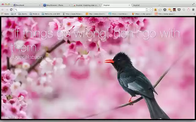 Inspiral, inspiring new tab pagein Chrome with