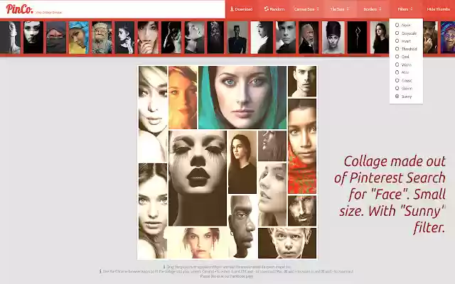PinCo Collage Maker for Websites PRO in Chrome