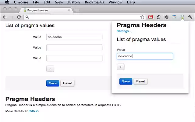 Pragma Headerin Chrome with by OffiDocs for