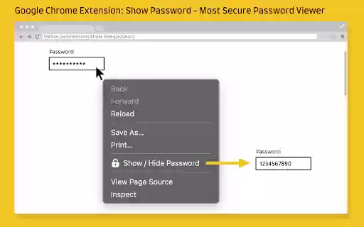 Show Password Most Secure Password Viewer in