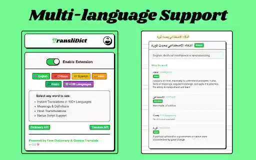 TransliDict Instant Word Lookup Translation in
