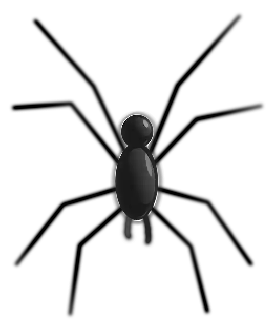 Spider AnimalFree vector graphic on Pixabay by