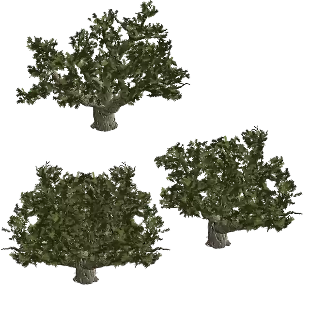 Tree Baum Trees by OffiDocs for office