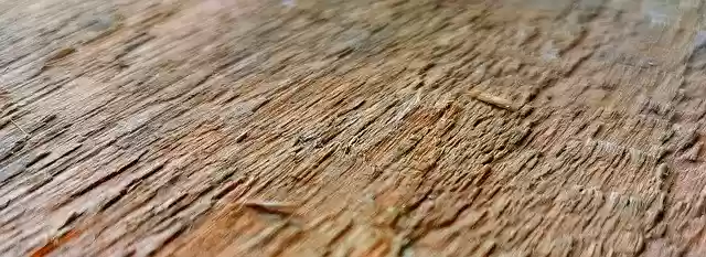 Structure Wood Texture par OffiDocs pour le bureau