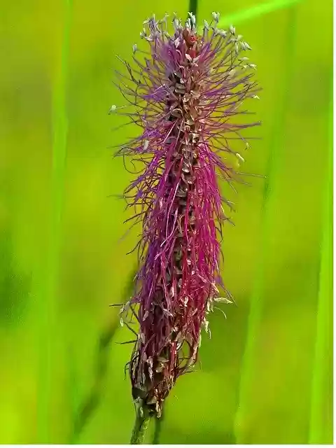 Xfhmcgj Vxcb by OffiDocs for office productivity